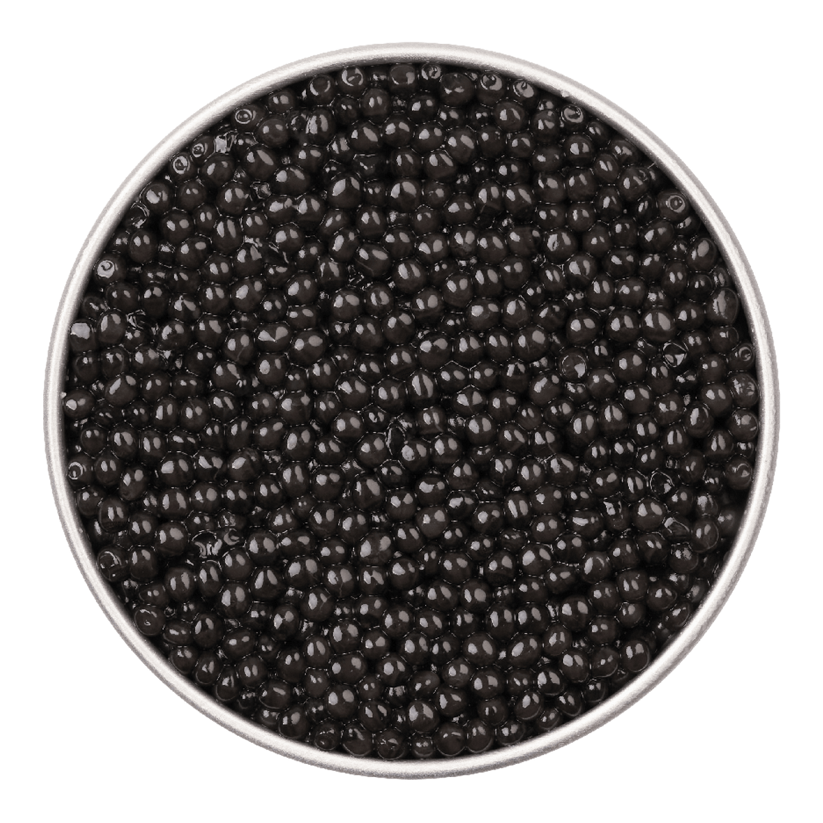 Persicus Royal — Savory Gourmet