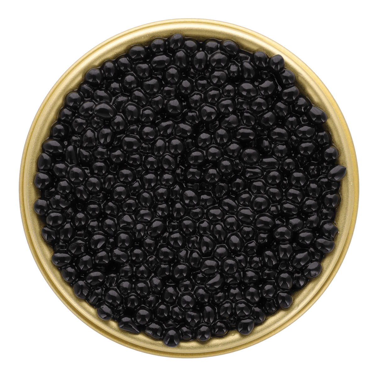 Truffle Flavor Pearls — Savory Gourmet