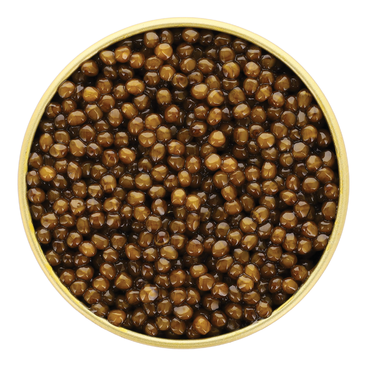 Kaluga Royal — Savory Gourmet