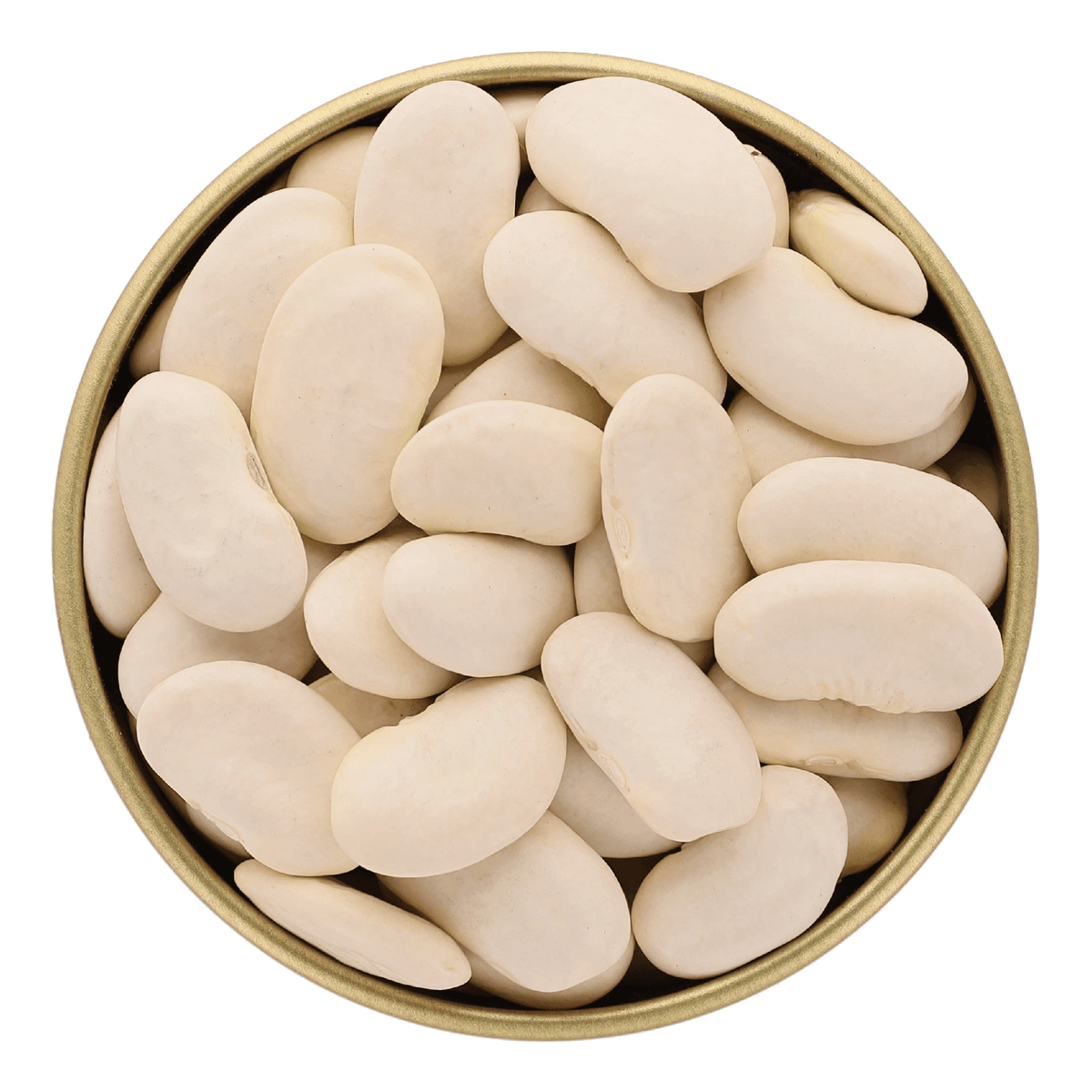 Beans Tarbais — Savory Gourmet