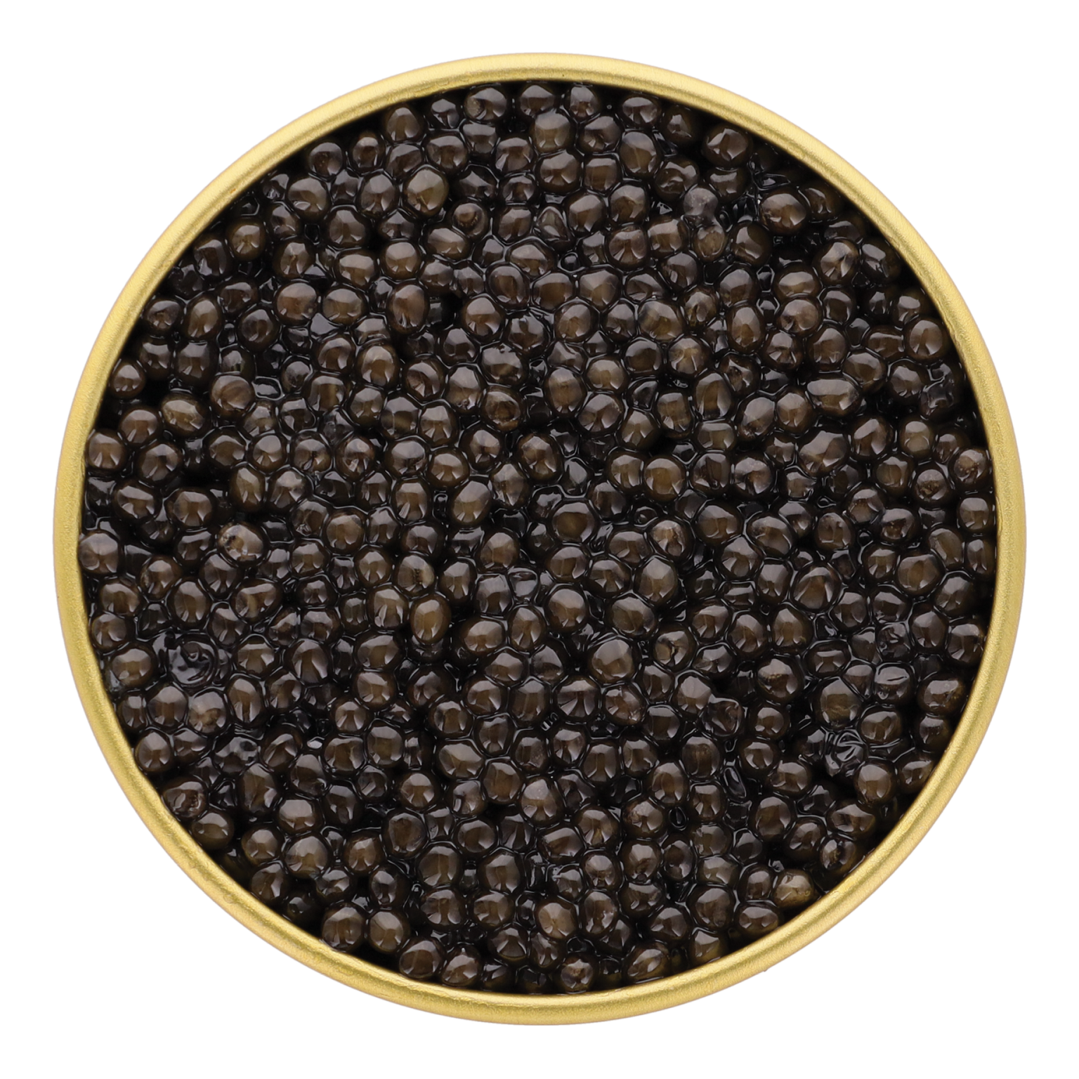 CAVIAR — Savory Gourmet