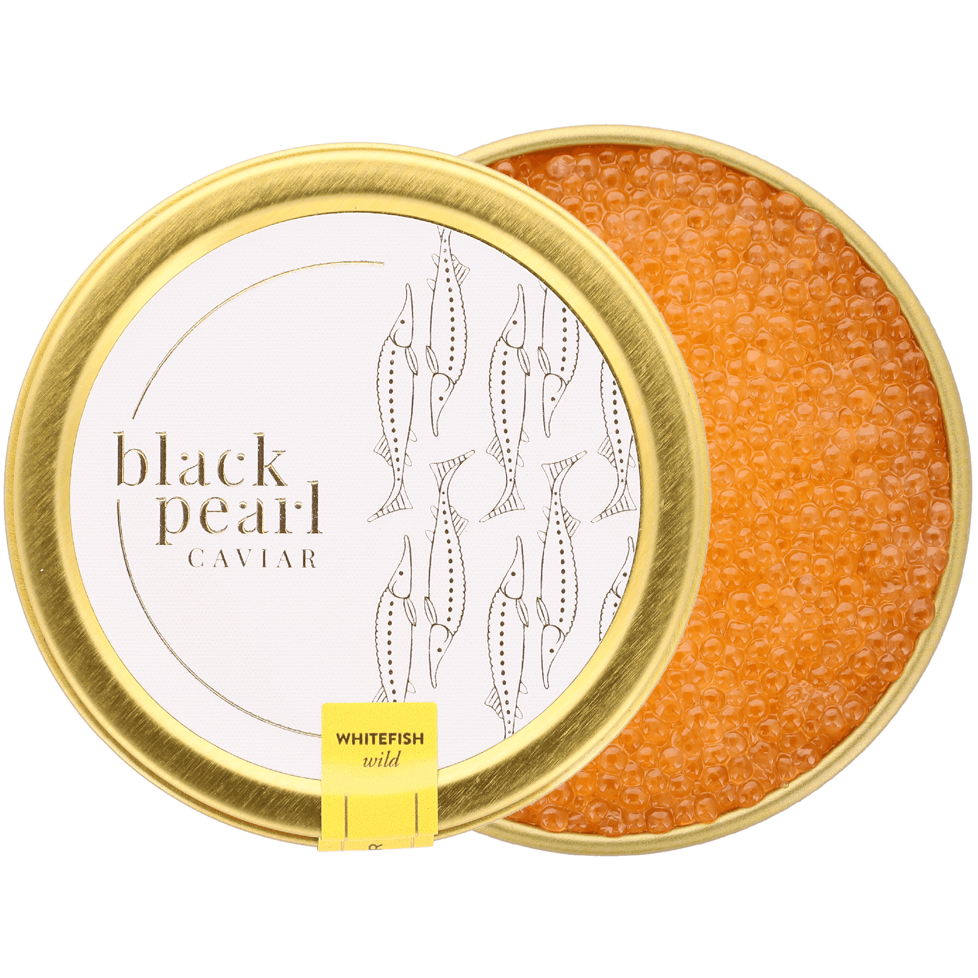 Whitefish Roe — Savory Gourmet