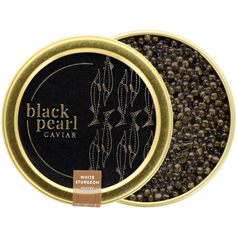 Culinary — Savory Gourmet